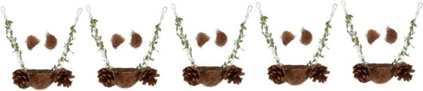 ¡Transforma la vida de tus aves con el increíble Nido de Coco! Descubre ...