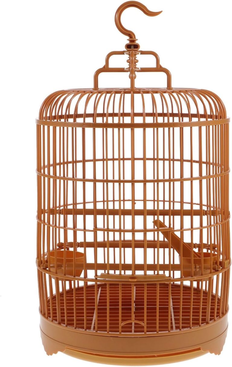 Descubre la jaula decorativa perfecta que encantará a tus aves y ...